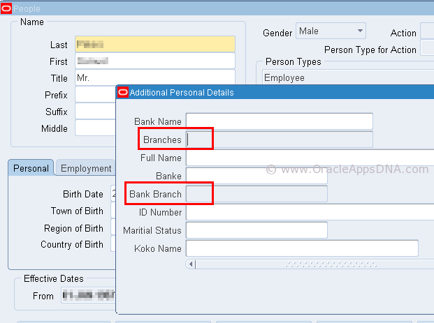 Making A Dff Segment Read Only Through ‘special Type Of Value Set Oracleappsdna